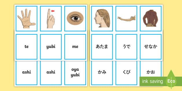 Japanese Parts of the Body Word and Picture Matching Cards