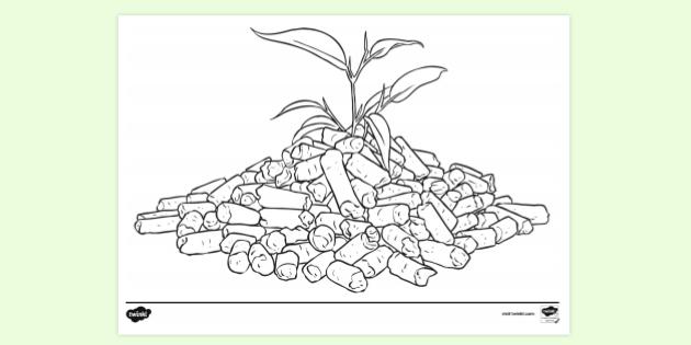 Biomass Colouring Sheet | Colouring Sheets (teacher made)