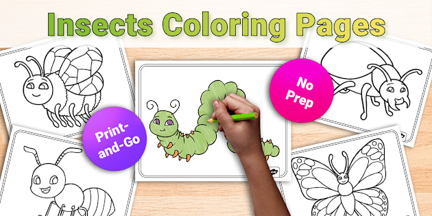 Cute Insect Coloring Pages