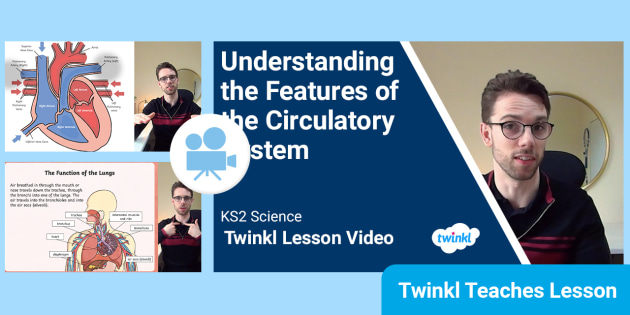 FREE! - KS2 Science: The Circulatory System Video Lesson 5