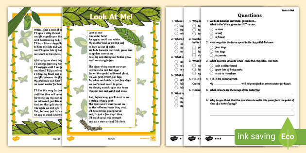 KS1 Butterfly Life Cycle Differentiated Poetry Comprehension