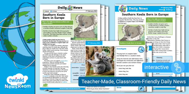Southern Koala Born in Europe - KS2 Reading Comprehension