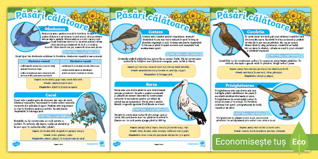 Păsări călătoare – Fișe informative (teacher made)