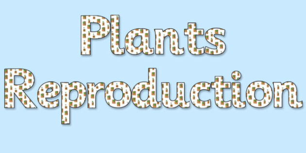 'Plants Reproduction' Display Lettering (teacher made)