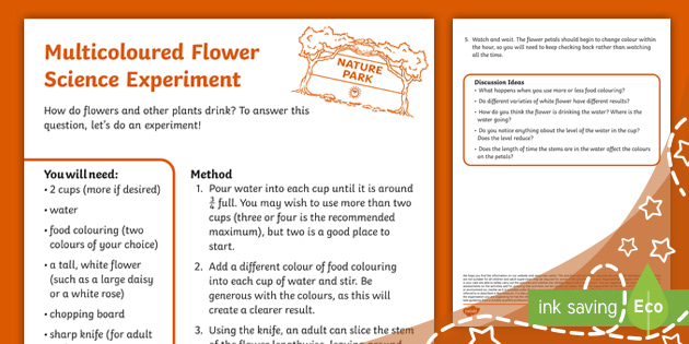 Multicoloured Flower Science Experiment (teacher made)