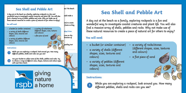 FREE! - Seashell Art for Kids | Twinkl Summer Craft Resources