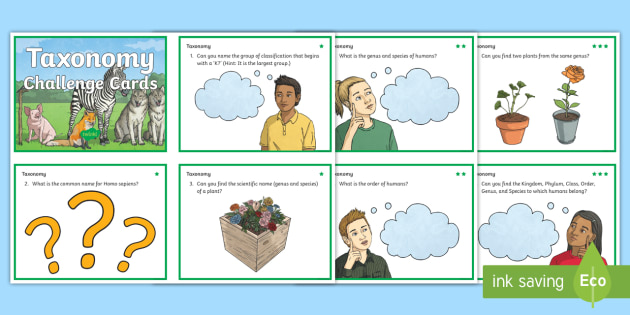 Taxonomy Differentiated Challenge Cards (teacher made)