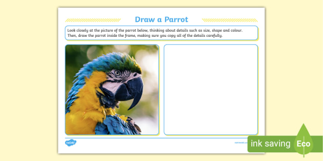 Draw a Parrot Art Activity (teacher made)