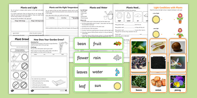 Growing Plants Resource Pack (teacher made)