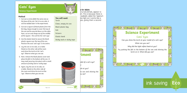 EYFS Cats' Eyes Science Experiment and Prompt Card Pack