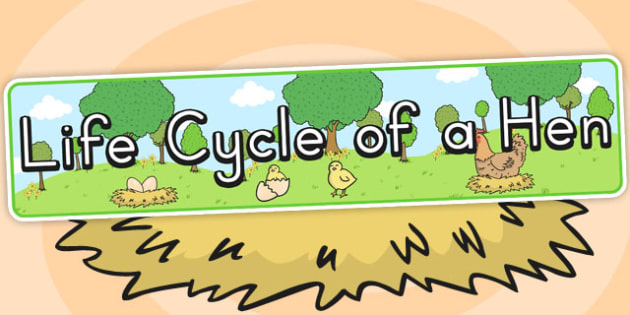 FREE! - Life Cycle of a Hen Display Banner (teacher made)