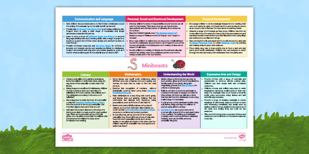 EYFS Ages 3-4 Topic Planning Web: Minibeasts (New EYFS 2021)
