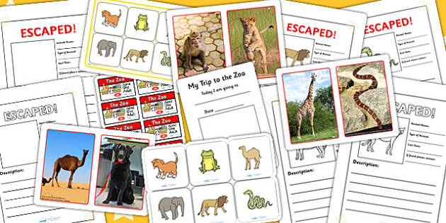 Zoo Activity Pack (teacher made)