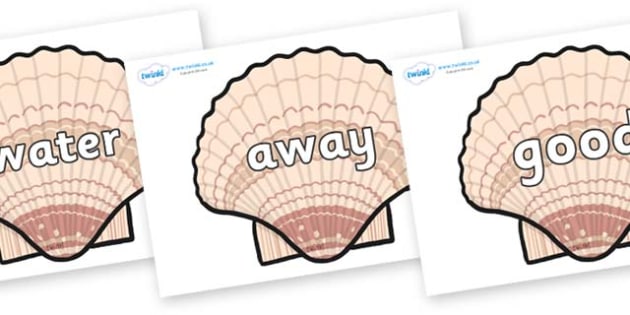 Next 200 Common Words on Seashells - Next 200 Common Words on