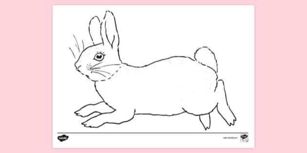 FREE! - Fierce Bad Rabbit Colouring Sheet | Colouring Pages