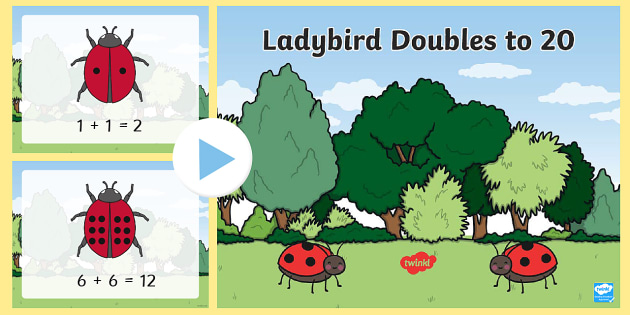 Ladybird Doubles Game | Numbers 1 - 20 | PowerPoint