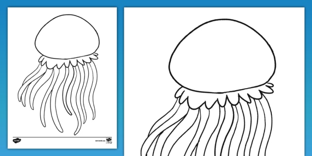 jelly fish coloring pages