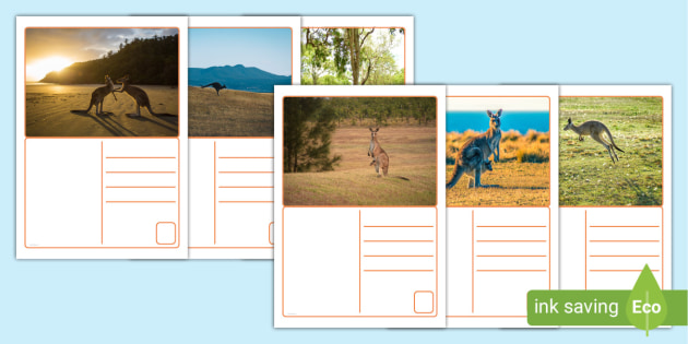 FREE! - Kangaroo Postcards (teacher made)