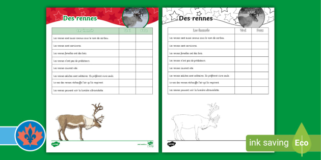 Christmas in Canada Reindeer True or False French Grade 4-6