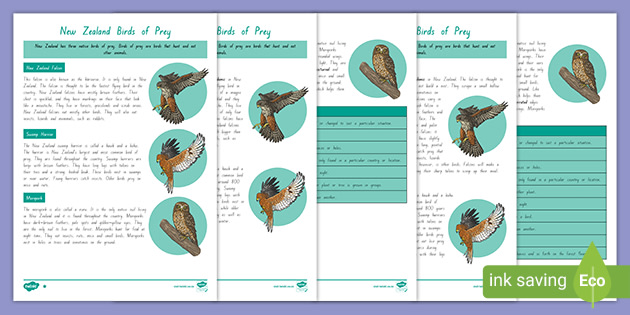 New Zealand Birds of Prey Reading Comprehension