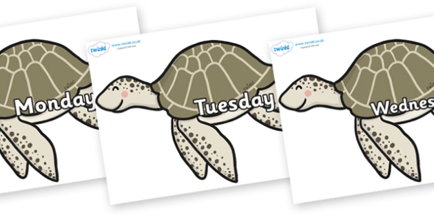 Days of the Week on Turtles (Teacher-Made)