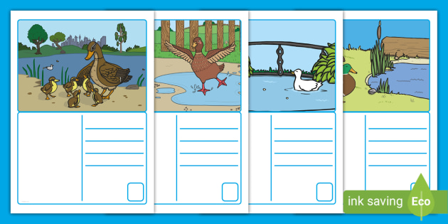 FREE! - Duck Themed Postcards (teacher made)