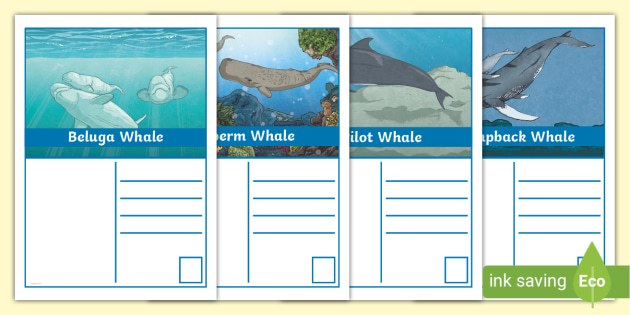 FREE! - Whale Postcards (teacher made)