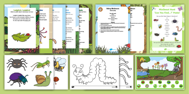 Nursery Activities for 0 2 Year Olds | Minibeasts Resources