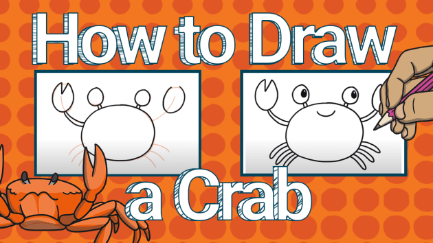 How to Draw a Crab | Twinkl Kid's TV (teacher made)