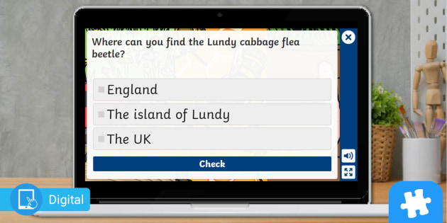 Minibeasts Interactive Quiz Activity | Twinkl Go!