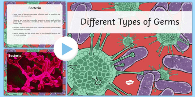 Types of Germ PowerPoint (teacher made)