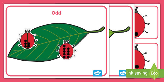 👉 Even and Odd Numbers Ladybirds Sorting Activity