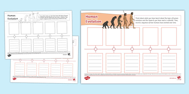 Printable Human Evolution Worksheet Askworksheet