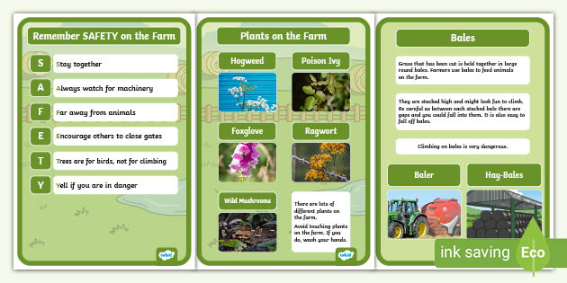 Farm Safety Display Posters (teacher made)
