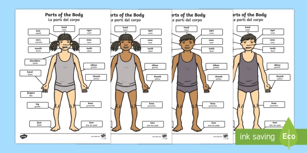 Parts of the Body A4 English/Italian - Parts of the Body (A4)