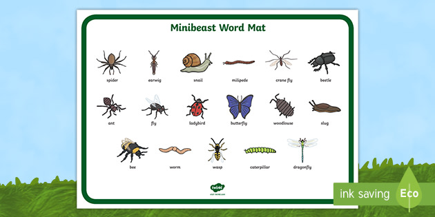 Minibeast Word Mat (teacher made)