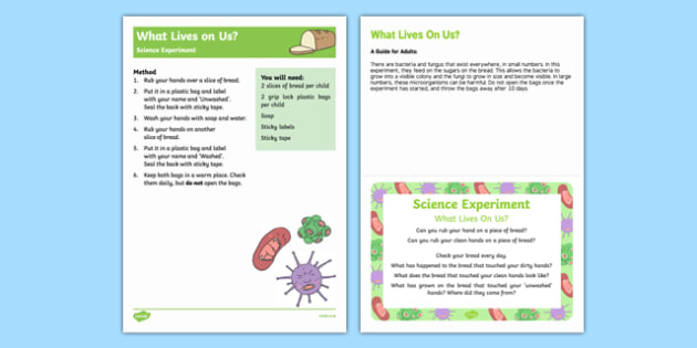 Bacteria Activities | twinkl.co.uk