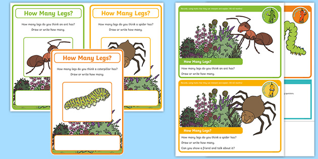 EYFS Maths Records Using Marks Chilli Challenges: Minibeast Legs