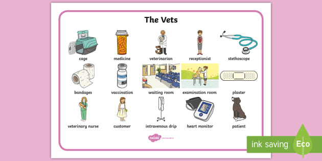 The Vets Aistear Word Mat (teacher made)