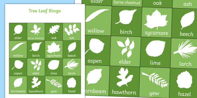 Tree Leaf Bingo (teacher made)