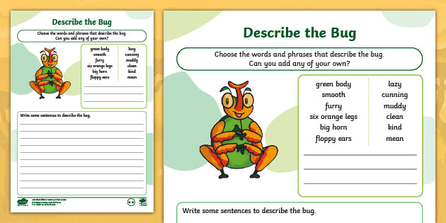Describe the Bug Worksheet