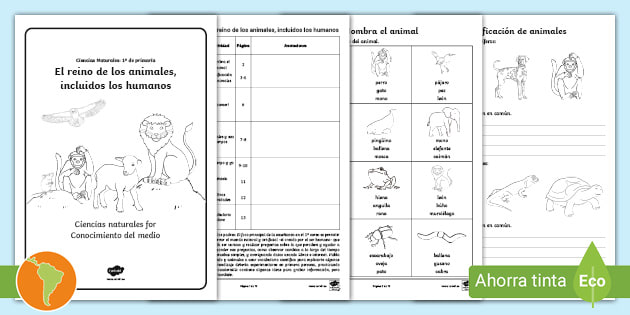 Ficha de actividad: Cuadernillo de animales