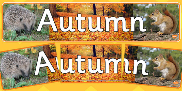 Autumn Photo Display Banner - autumn, photo display banner