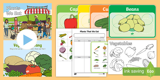 Vegetables Resource Pack (teacher made)