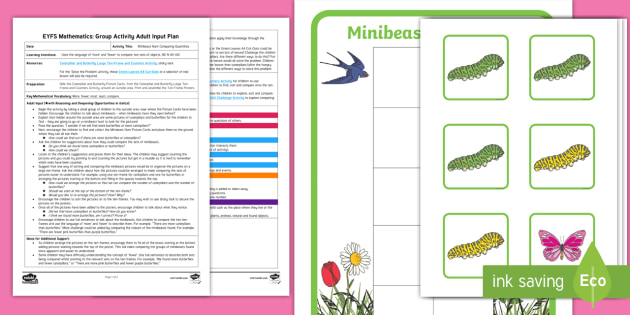 EYFS Maths: Minibeast Hunt Comparing Amounts Group Activity Adult Input ...