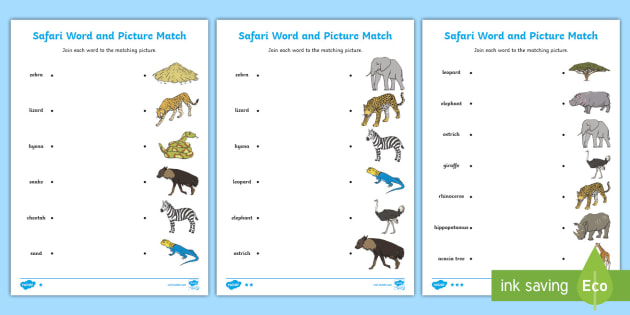 Safari Word and Picture Matching Sheets- jungle, animals