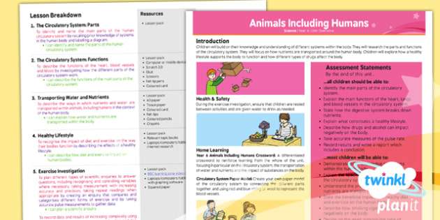 FREE! - Science: Animals Including Humans Year 6 Unit Planning Overview