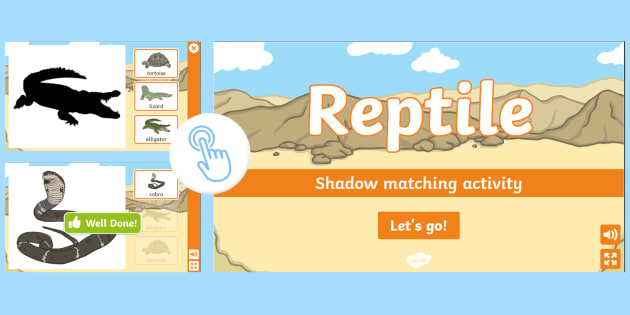 Interactive Reptile Shadow Matching Activity | Twinkl Go!