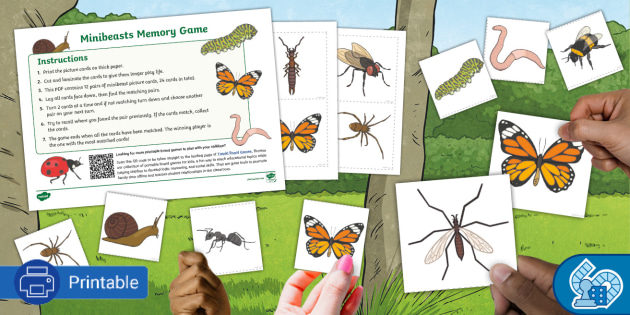 Minibeasts Memory Game for Kindergarten Summer Activities