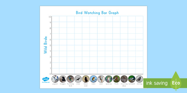 Bird Watching Bar Graph Activity (teacher made)